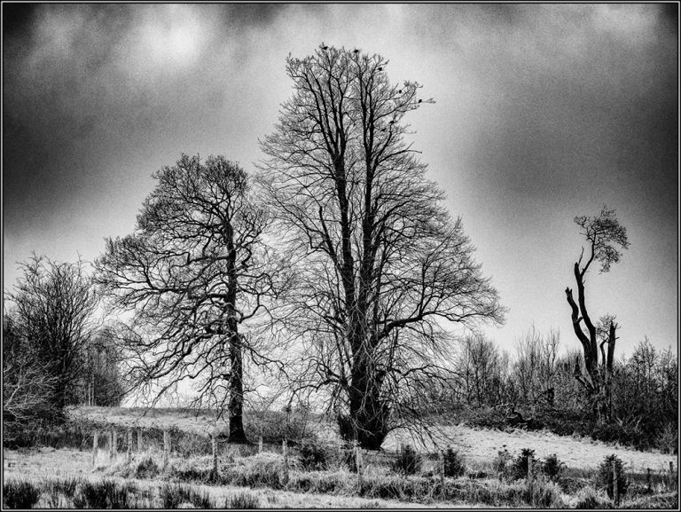 The Welsh Photographic Federation